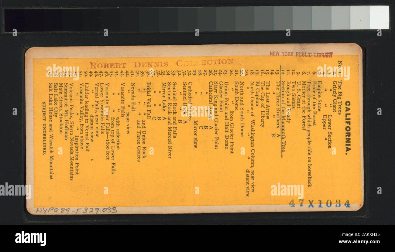 Section of the Mammoth Tree 47x1034; Section of the Mammoth Tree Stock ...