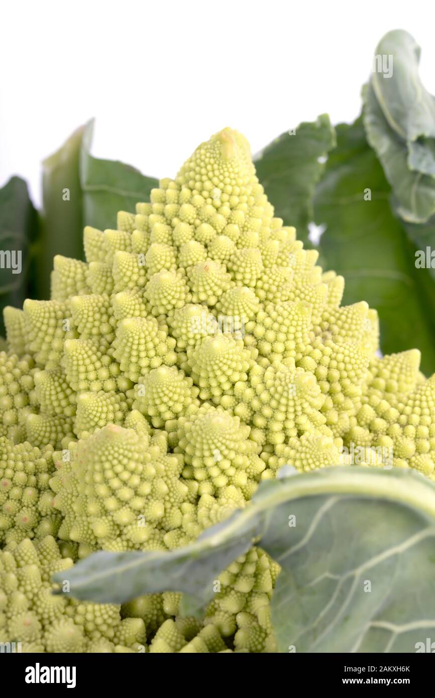 A Romanesco broccoli, also known as Roman cauliflower, Broccolo ...