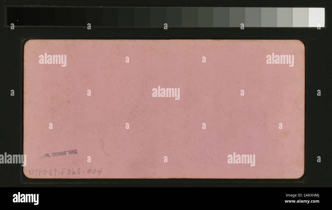 Sequoia cross section hi-res stock photography and images - Alamy