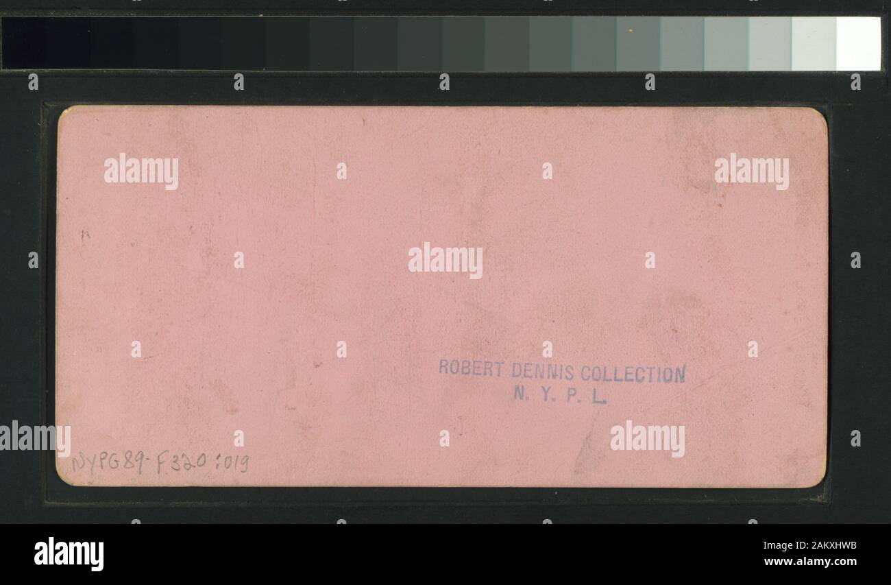 Section of the original big Tree, 92 feet in Circumference by E. & H. T ...