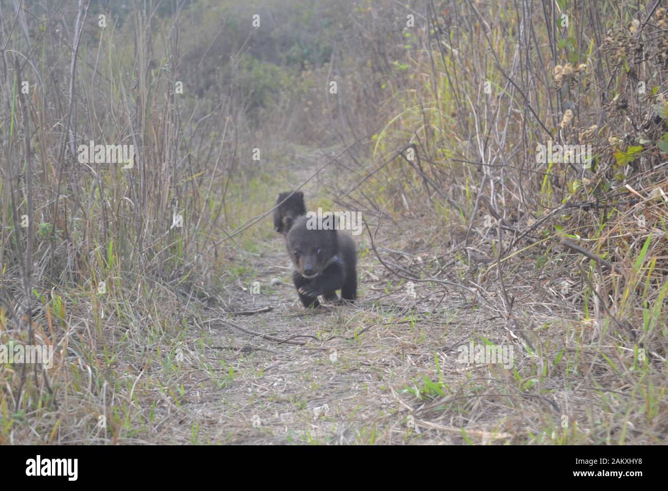 Child stone look grass hi-res stock photography and images - Alamy