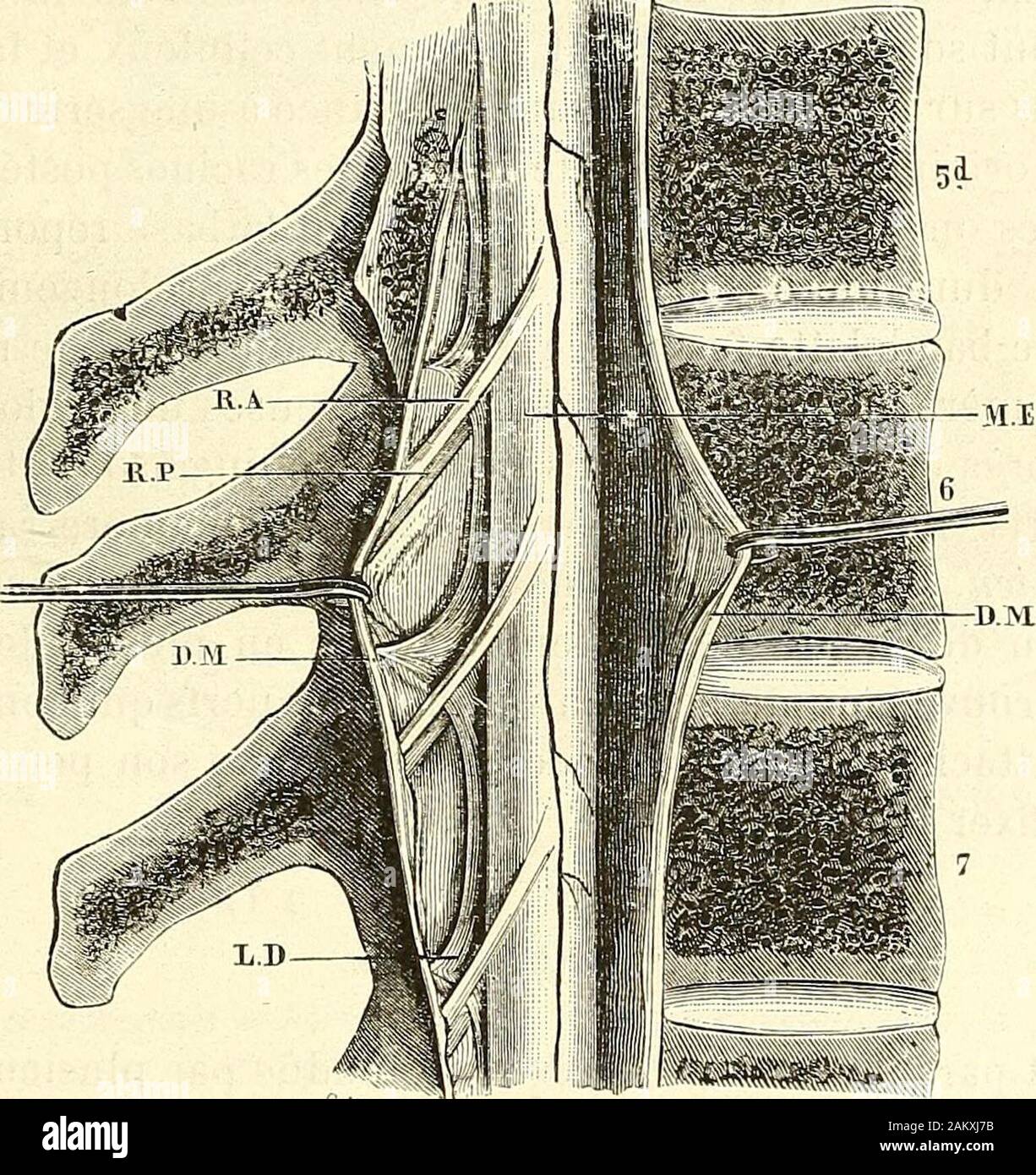 Ma chirurgie hi-res stock photography and images - Alamy