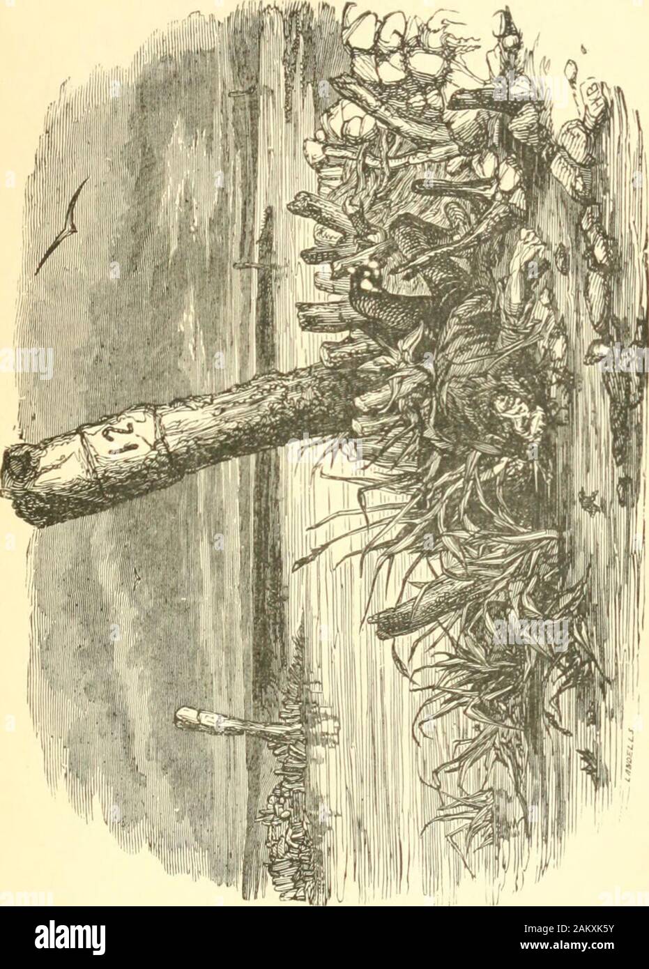 Dragging stones hi-res stock photography and images - Alamy