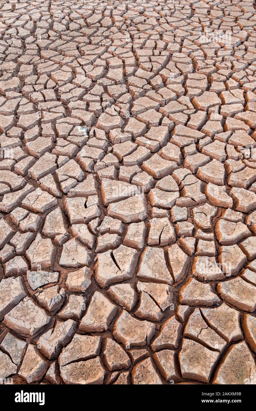 Cracked silt bed, Steer Gulch, Glen Canyon National Recreation Area ...