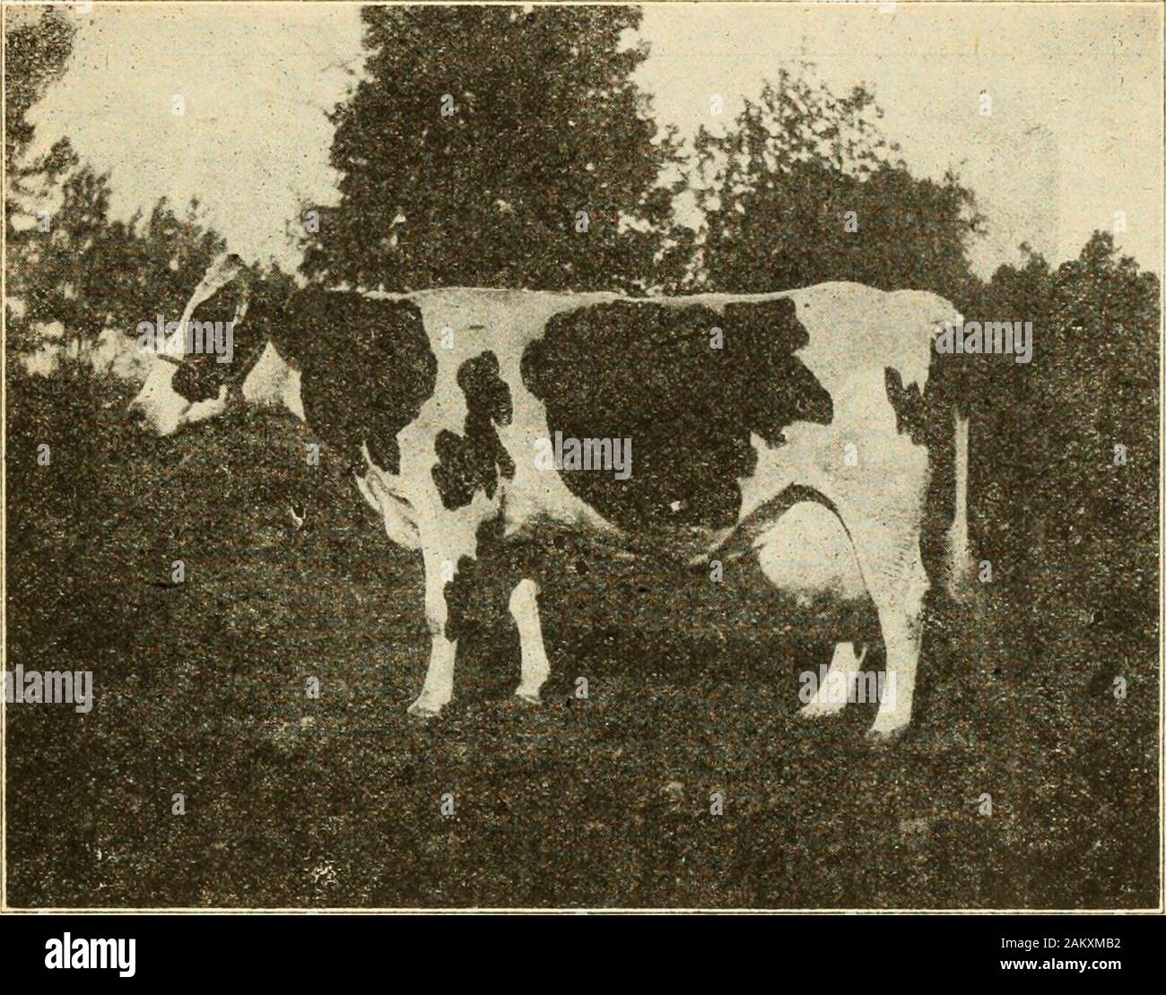 Roughage rich hi-res stock photography and images - Alamy