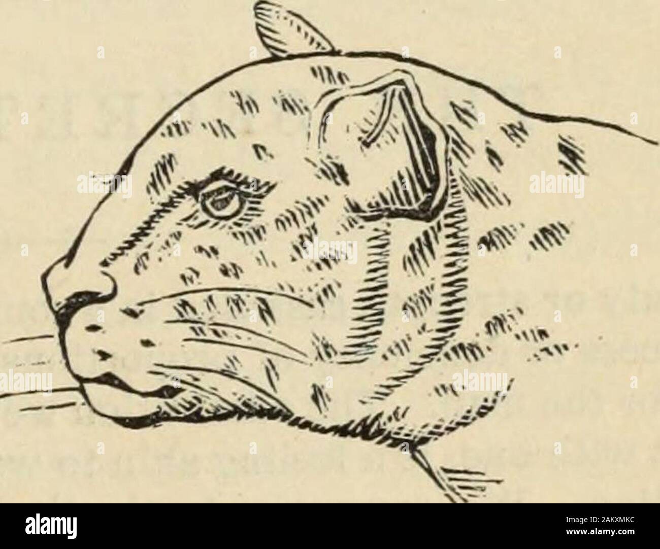 Artful forms hi-res stock photography and images - Alamy