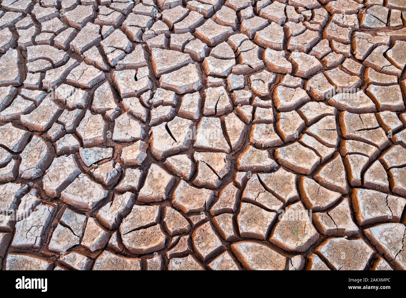 Cracked silt bed, Steer Gulch, Glen Canyon National Recreation Area ...