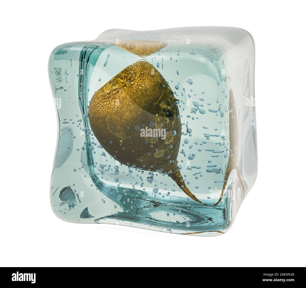 Black big radish frozen in ice cube, 3D rendering isolated on white ...