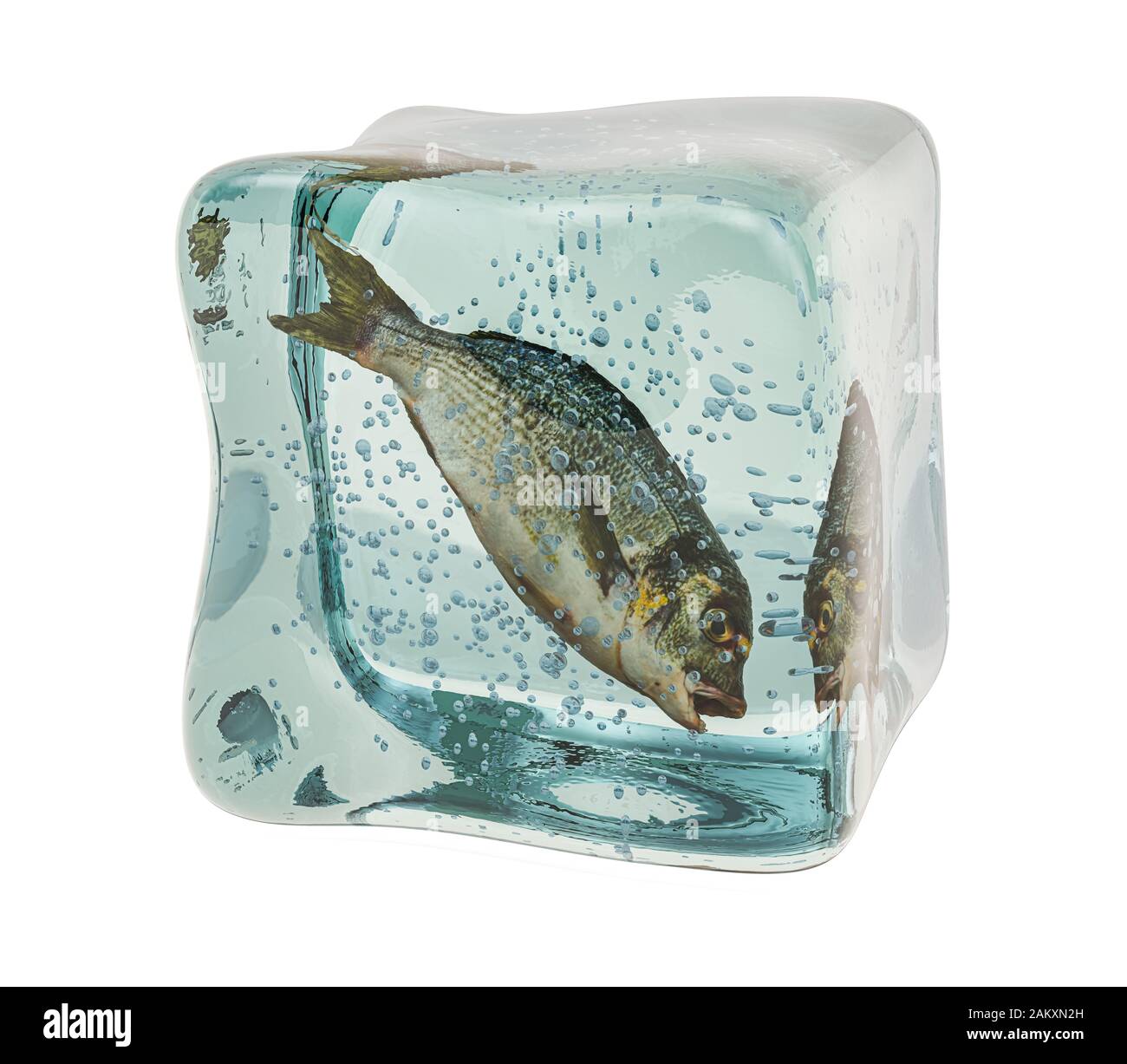 Raw dorade fish frozen in ice cube, 3D rendering isolated on white ...
