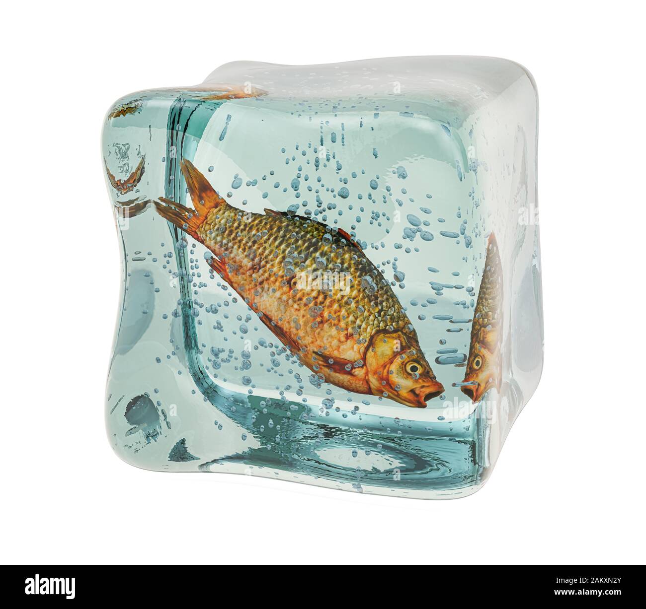 Raw carp, fish frozen in ice cube, 3D rendering isolated on white ...