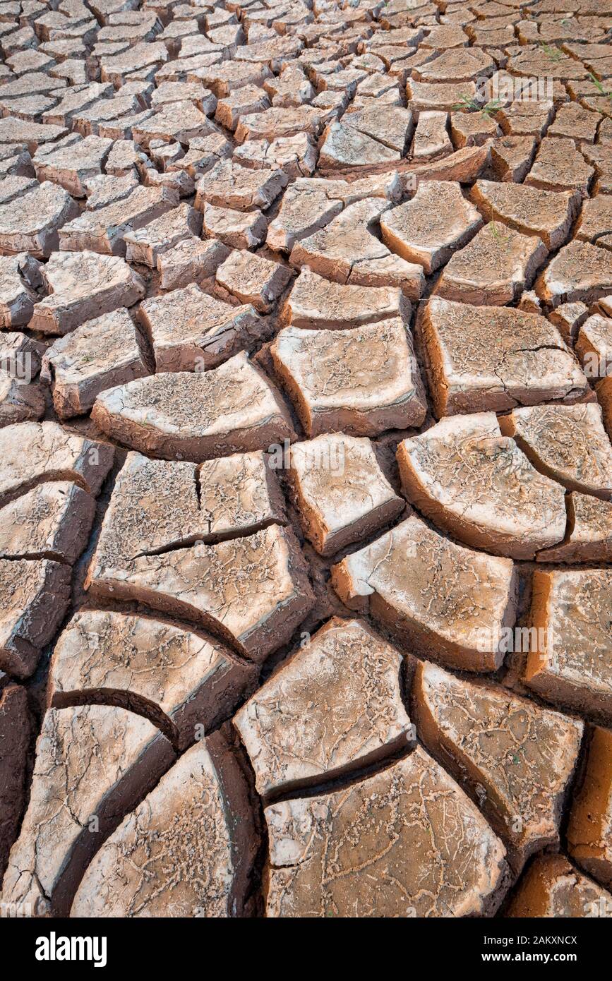 Cracked silt bed, Steer Gulch, Glen Canyon National Recreation Area ...