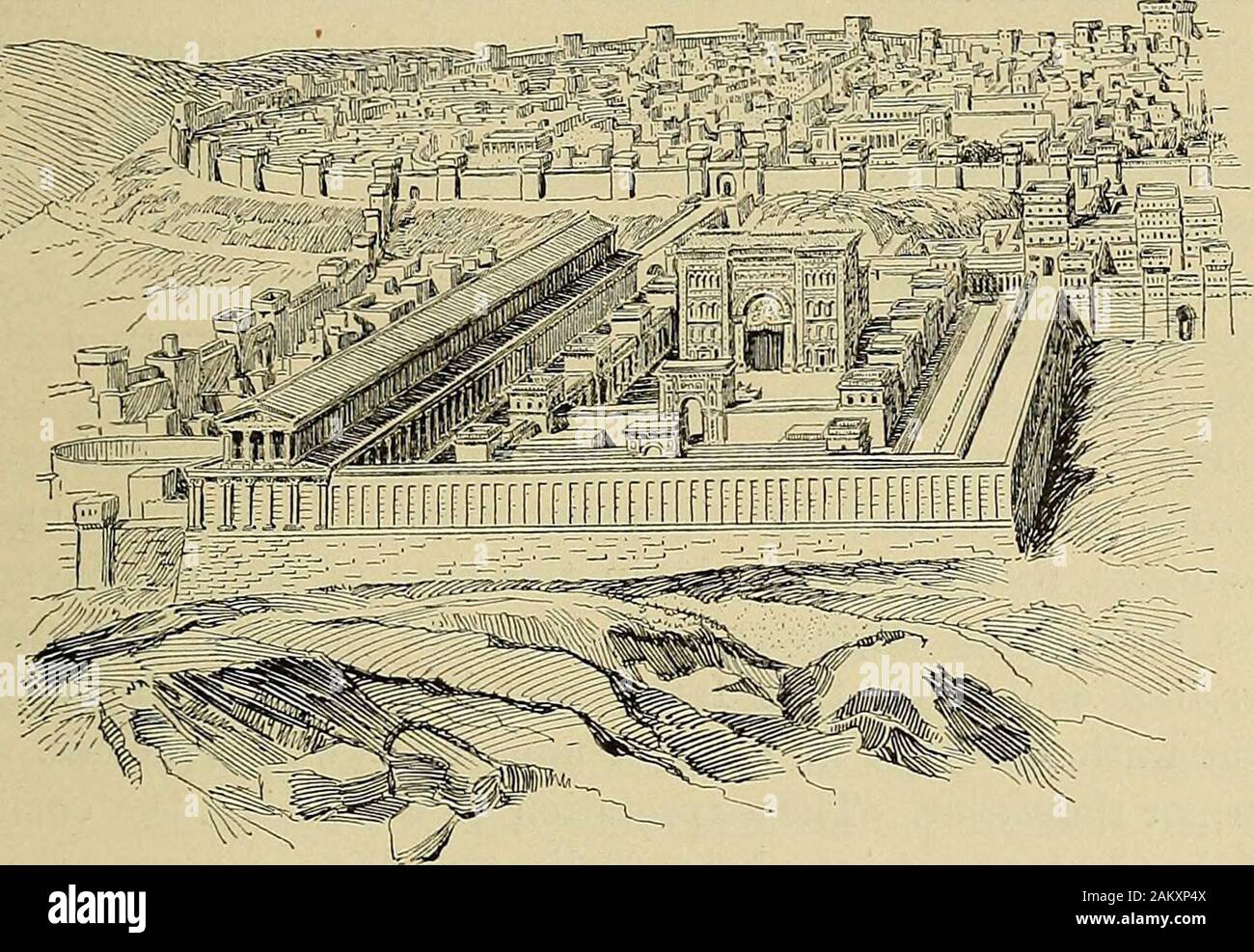 Davids reign hi-res stock photography and images - Alamy