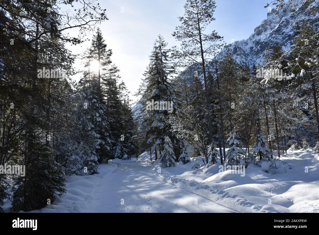 Loipe spur hi-res stock photography and images - Alamy