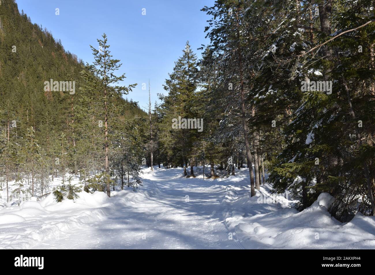 Loipe Spur High Resolution Stock Photography and Images - Alamy
