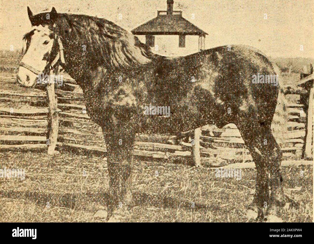 Ad dair hi-res stock photography and images - Alamy