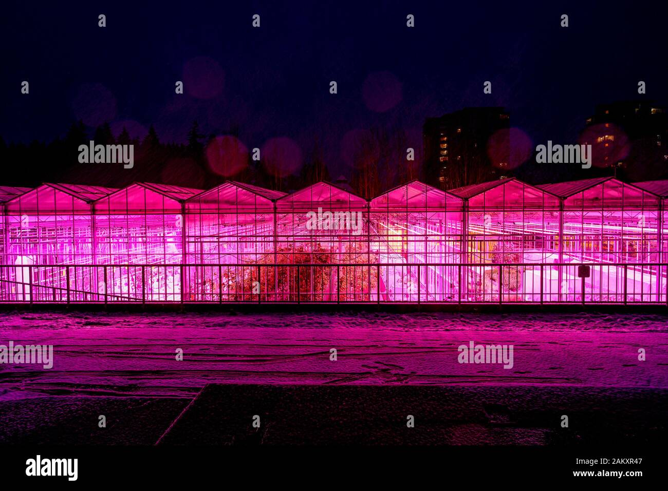 Columbia university research hi-res stock photography and images - Alamy