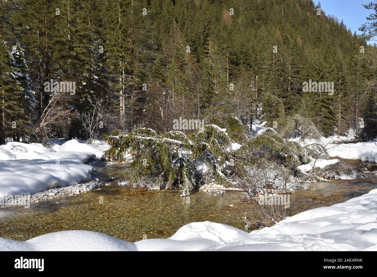 Toblach, Pustertal, Hochpustertal, Höhlensteintal, Winter, Schnee, Wald ...