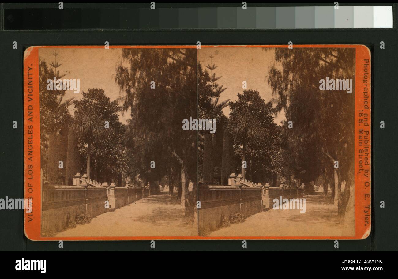 Side walk scene, Fort Street Los Angeles, California Side walk scene ...