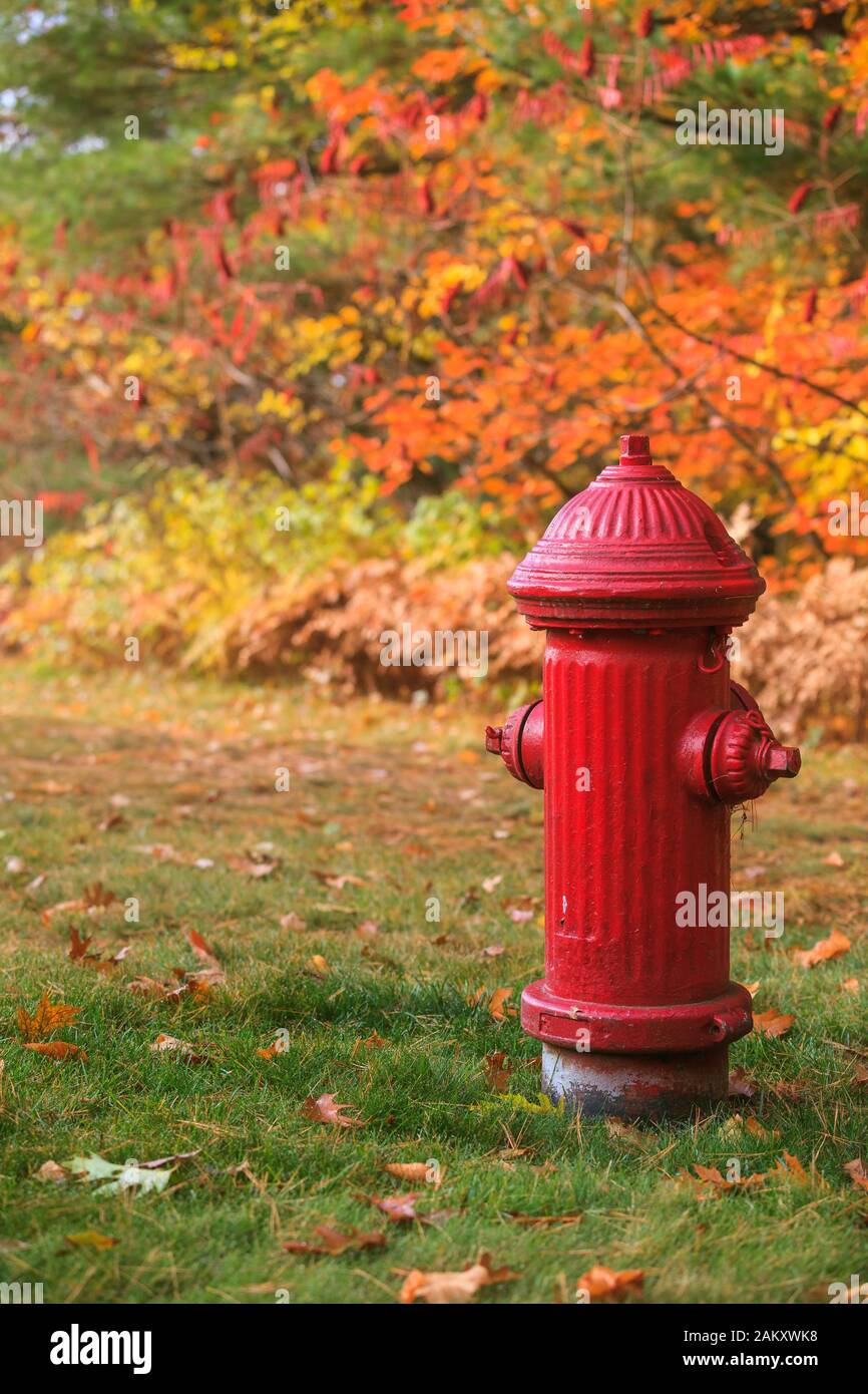 Red Vintage Fire Hydrant in a natural park on beautiful and colorful ...