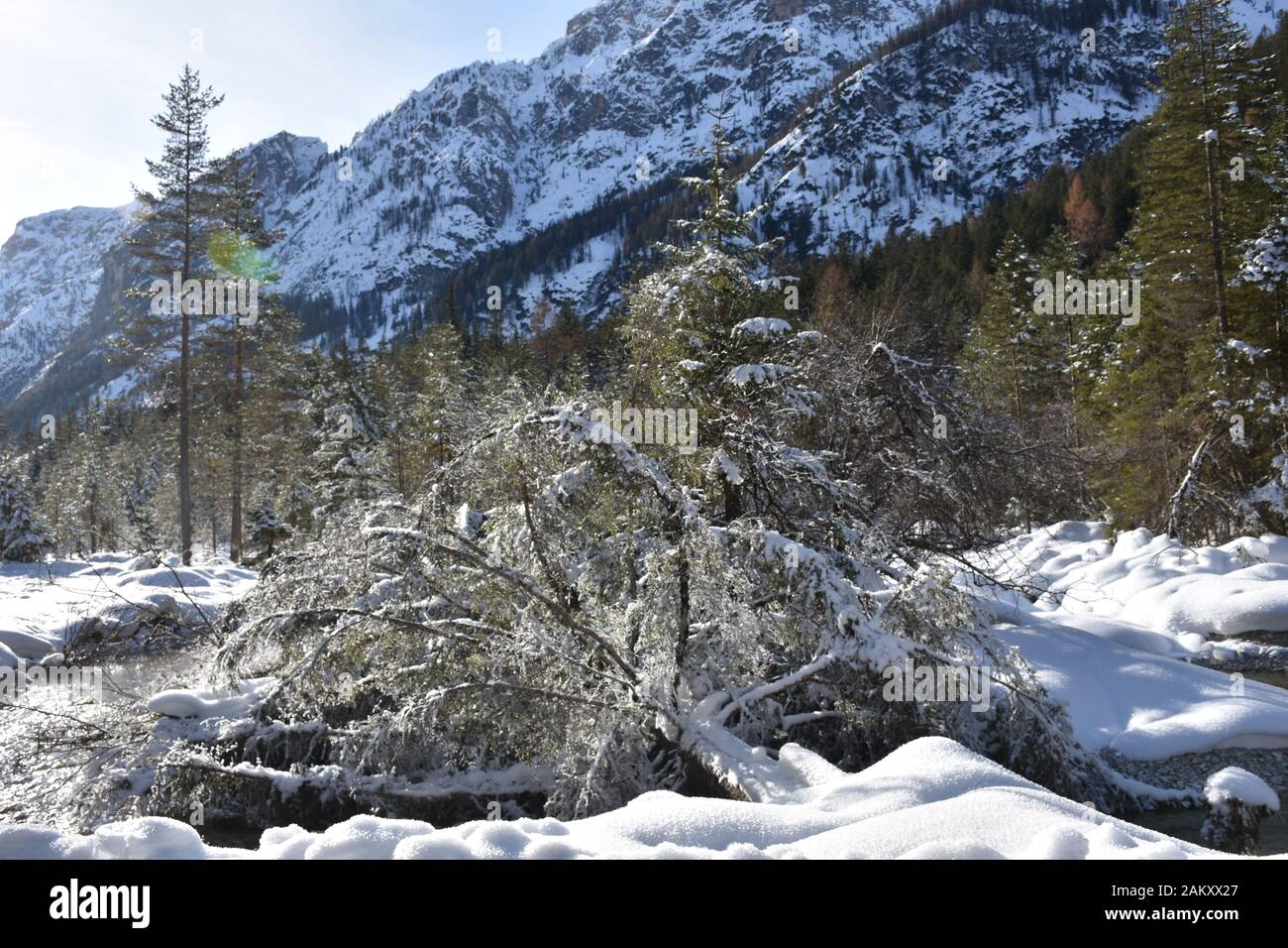 Toblach, Pustertal, Hochpustertal, Höhlensteintal, Winter, Schnee, Wald ...