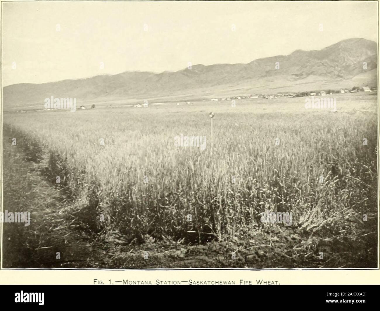 The agricultural experiment stations in the United States . Fig. 2 ...