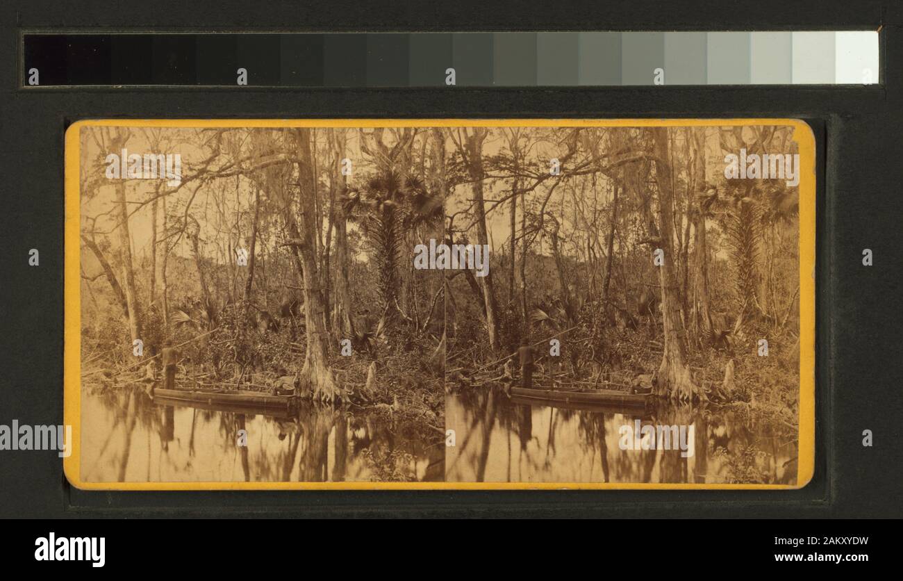 Silver Springs Run, Fla Spearing Fish Silver Springs Run, Fla. Spearing ...