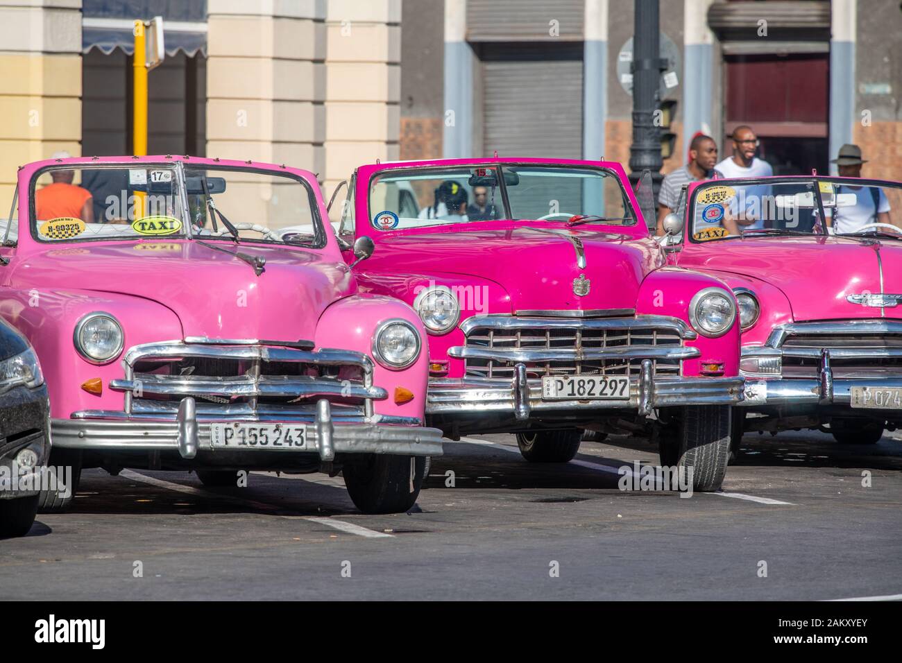 1950s American Cars Pink