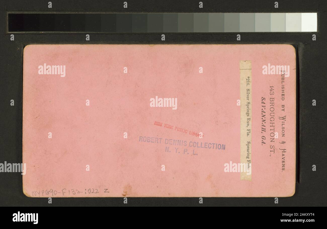 Silver Springs, Fla Spearing fish Silver Springs, Fla. Spearing fish ...