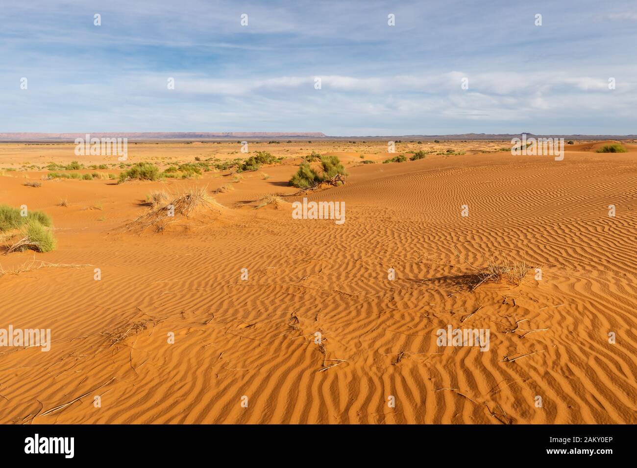 sand waves in the Sahara desert, Morocco, Africa Stock Photo - Alamy