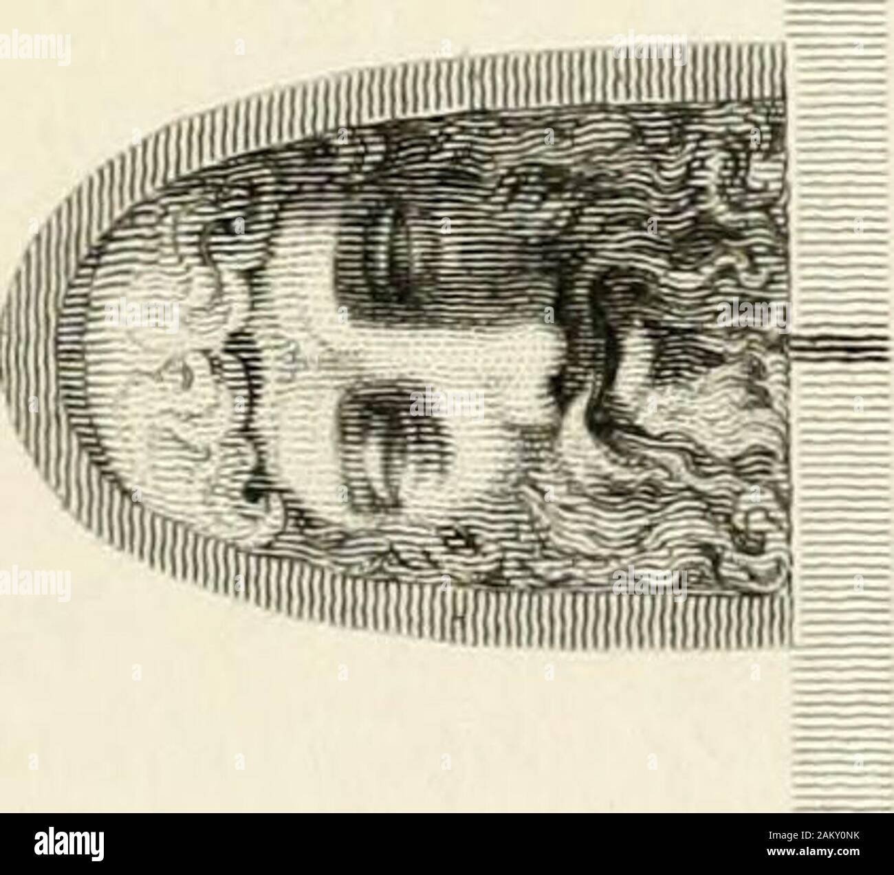 Pompeiana : the topography, edifices, and ornaments of Pompeii Stock ...