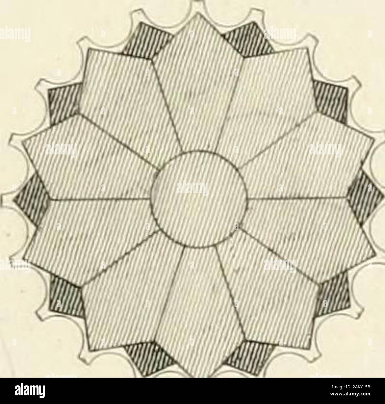 Pompeiana : the topography, edifices, and ornaments of Pompeii Stock ...