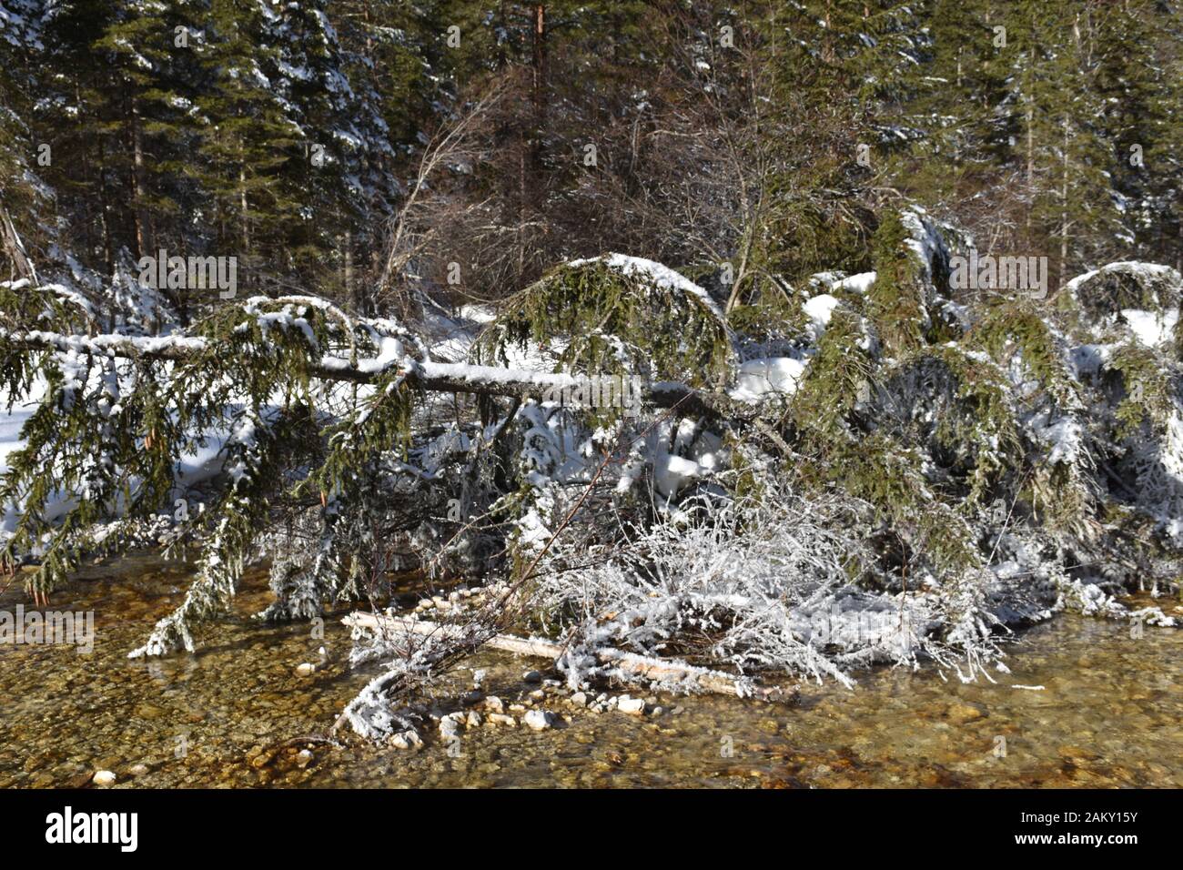 Toblach, Pustertal, Hochpustertal, Höhlensteintal, Winter, Schnee, Wald ...