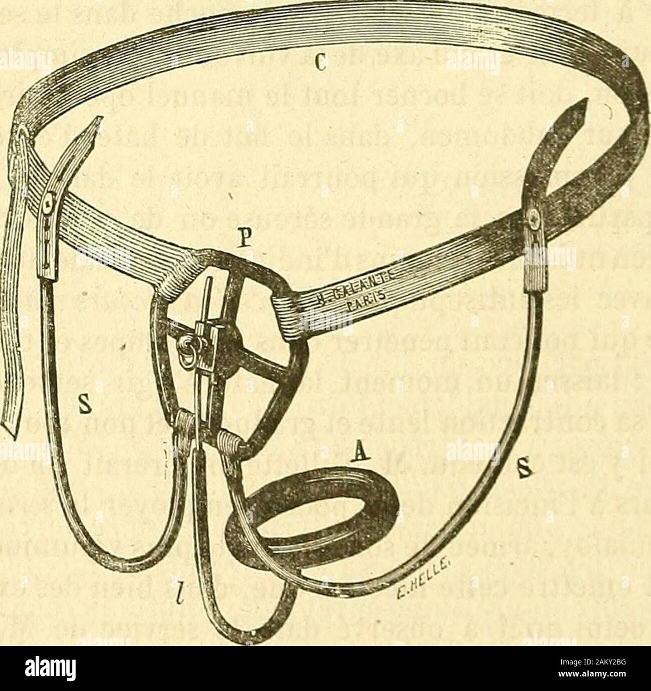 Voie pubienne hi-res stock photography and images - Alamy