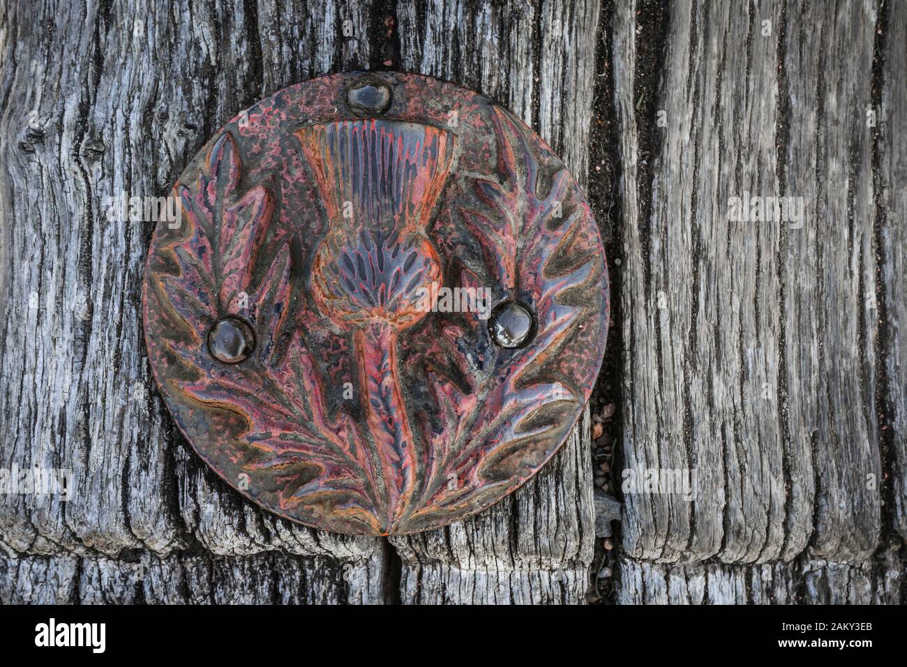 Scottish thistle national emblem scotland hi-res stock photography and ...