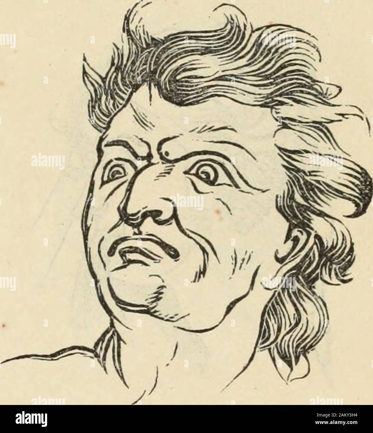 New Physiognomy : or signs of character, as manifested through ...