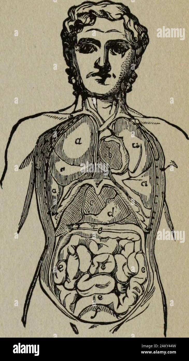 Chest swelling hi-res stock photography and images - Alamy