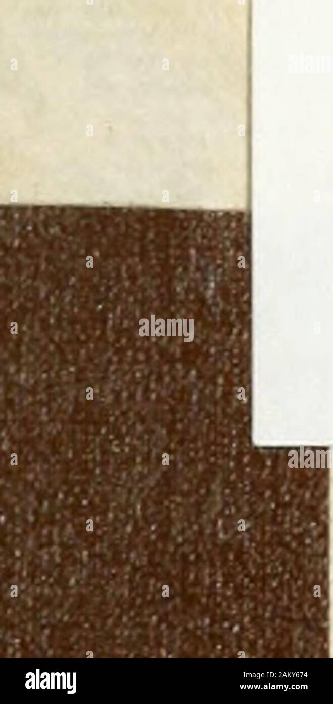 The farrier's new guideContaining, first, The anatomy of a horse, being ...