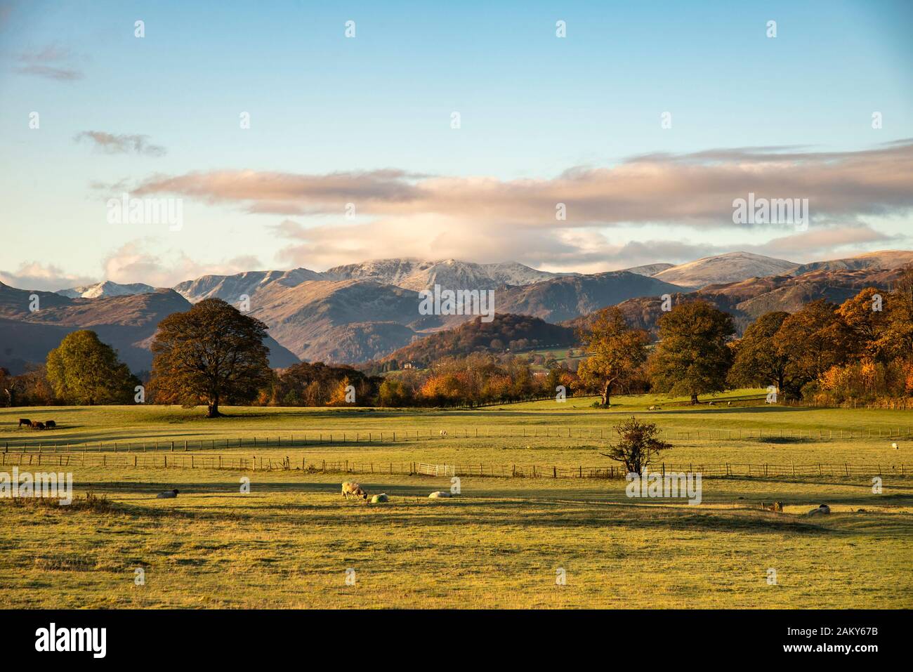 Beautiful Autumn Fall scenery landscape of countryside in Lake District ...