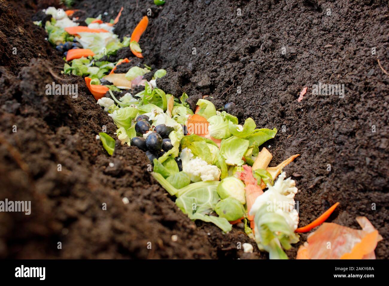 Compost trench food waste hi-res stock photography and images - Alamy