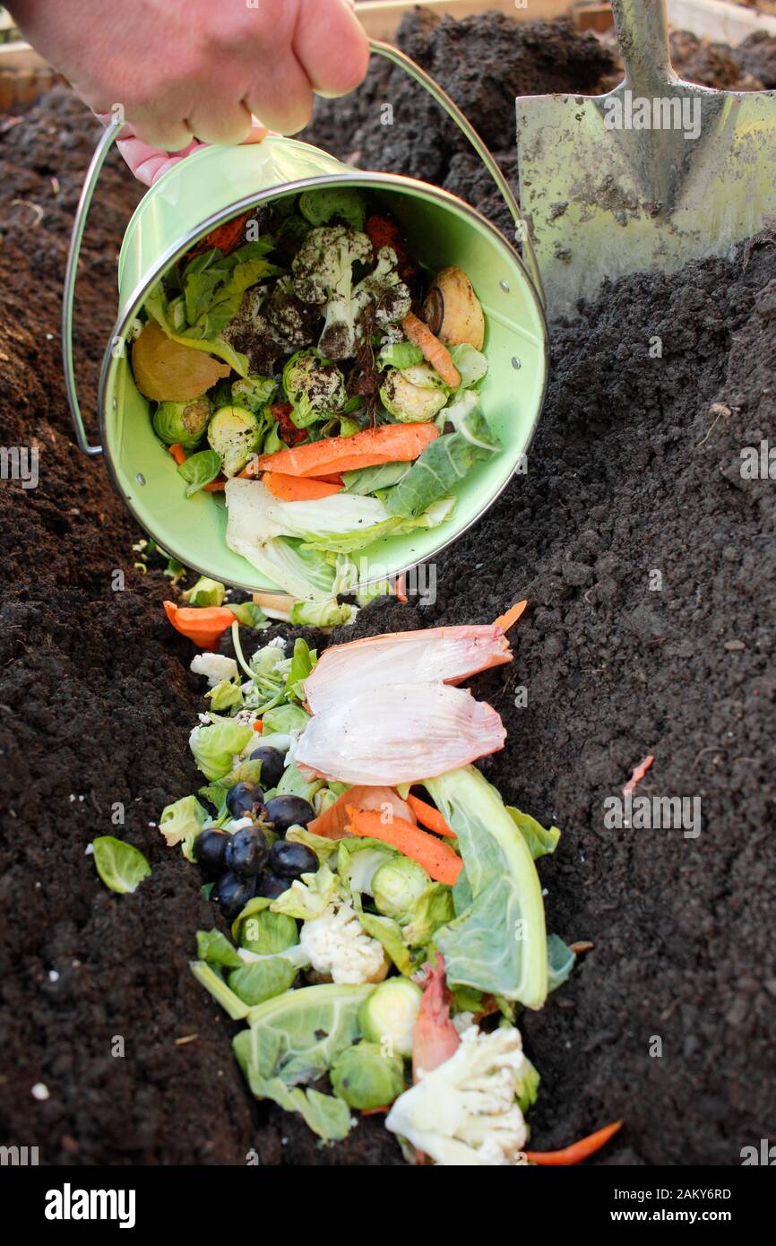 Compost trench food waste hi-res stock photography and images - Alamy