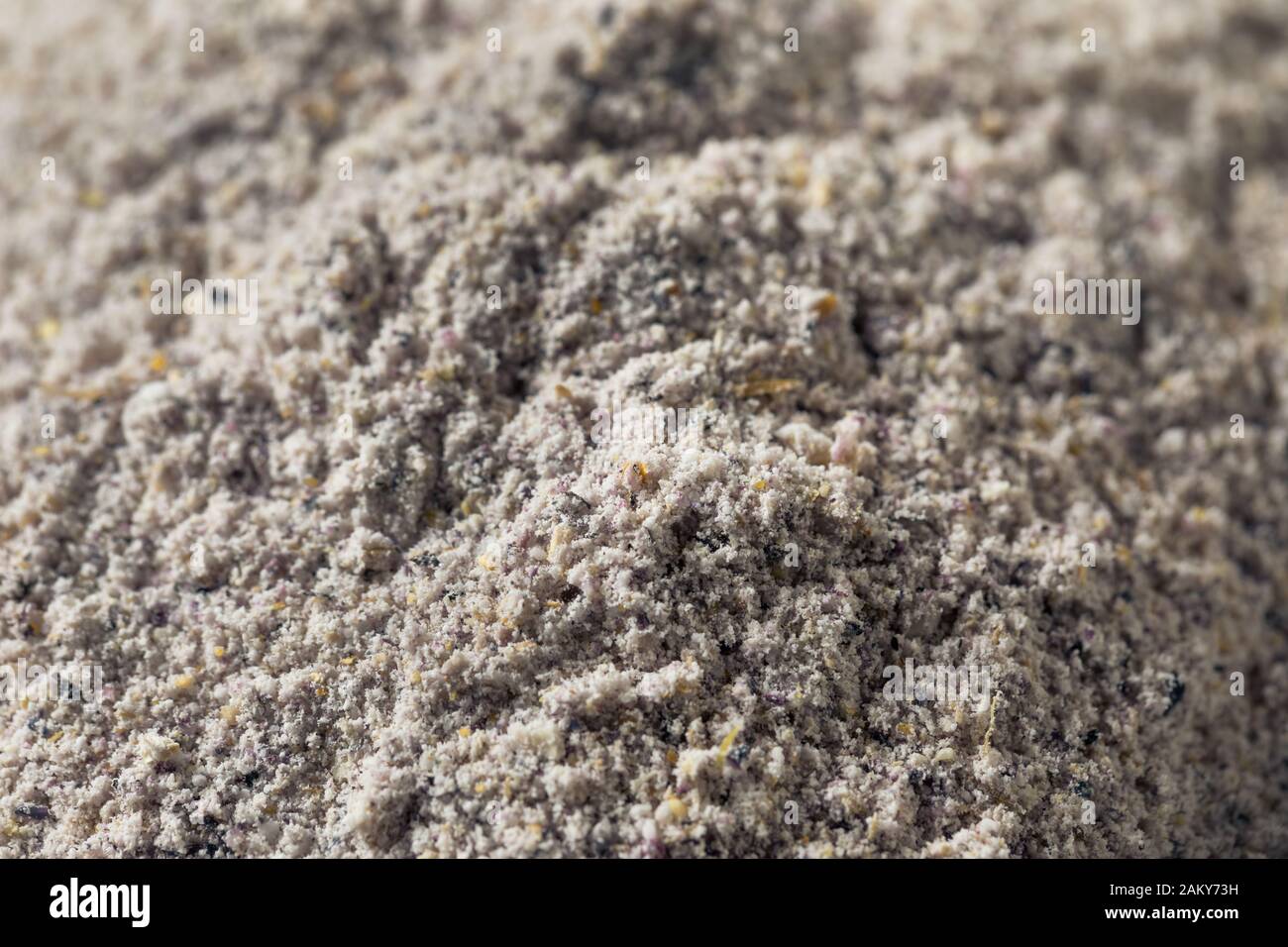 Raw Blue Organic Cornmeal Flour in a Bowl Stock Photo - Alamy