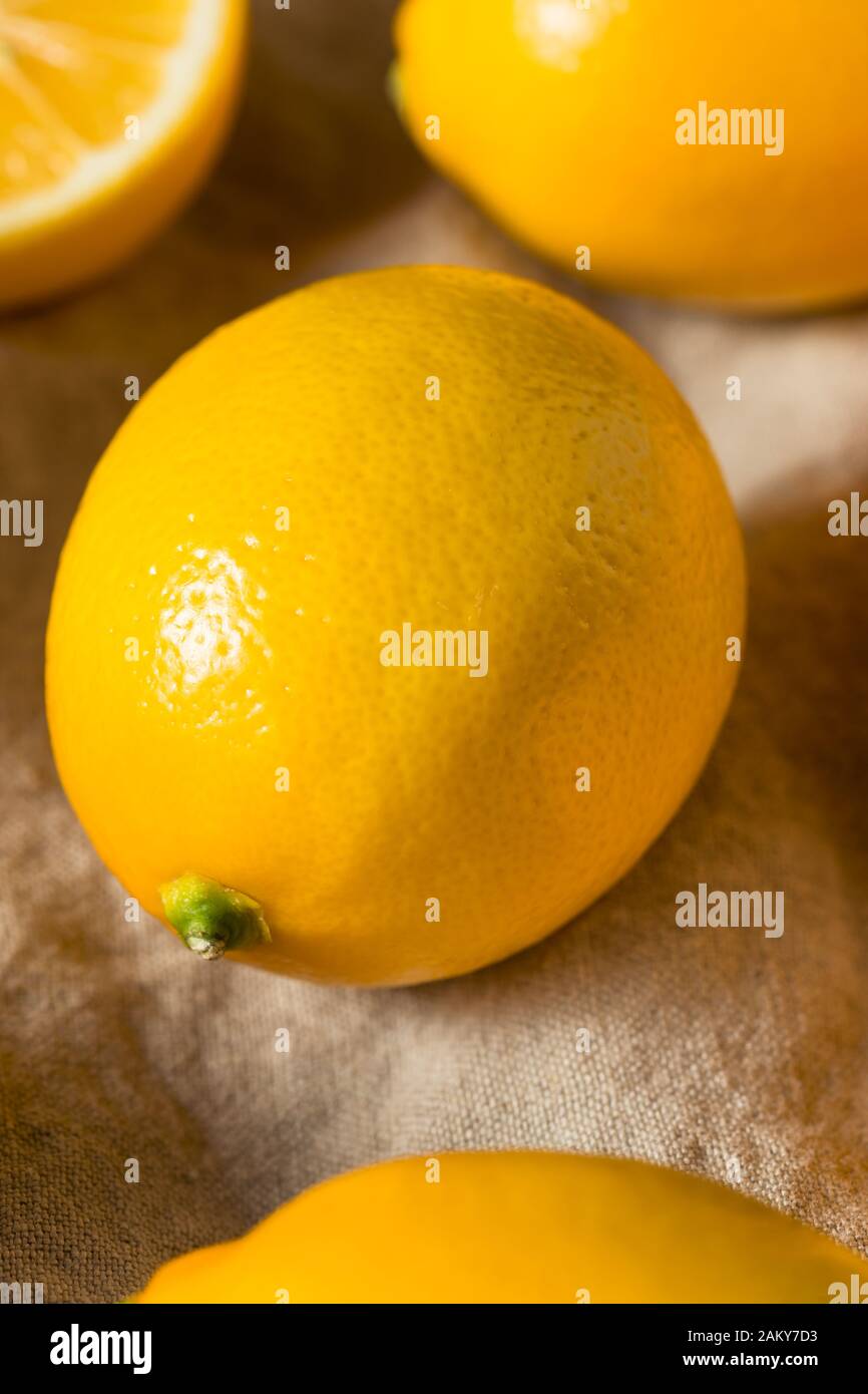 Raw Yellow Organic Meyer Lemons in a Bunch Stock Photo - Alamy