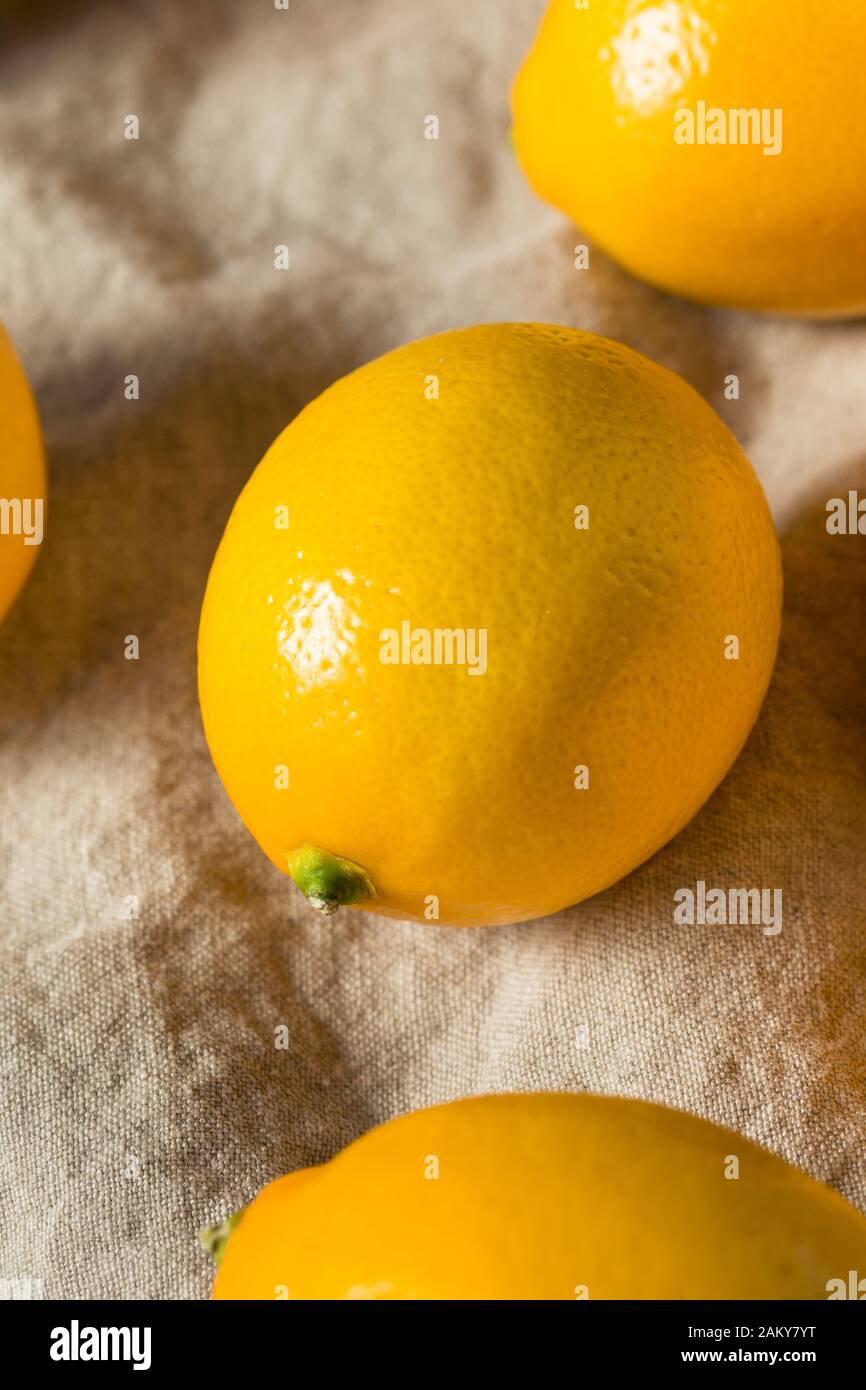 Raw Yellow Organic Meyer Lemons in a Bunch Stock Photo - Alamy