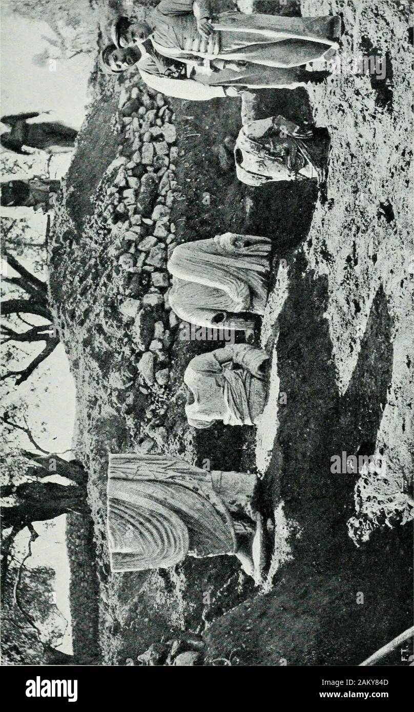 The palaces of Crete and their builders . allowtombs within the sacred ...