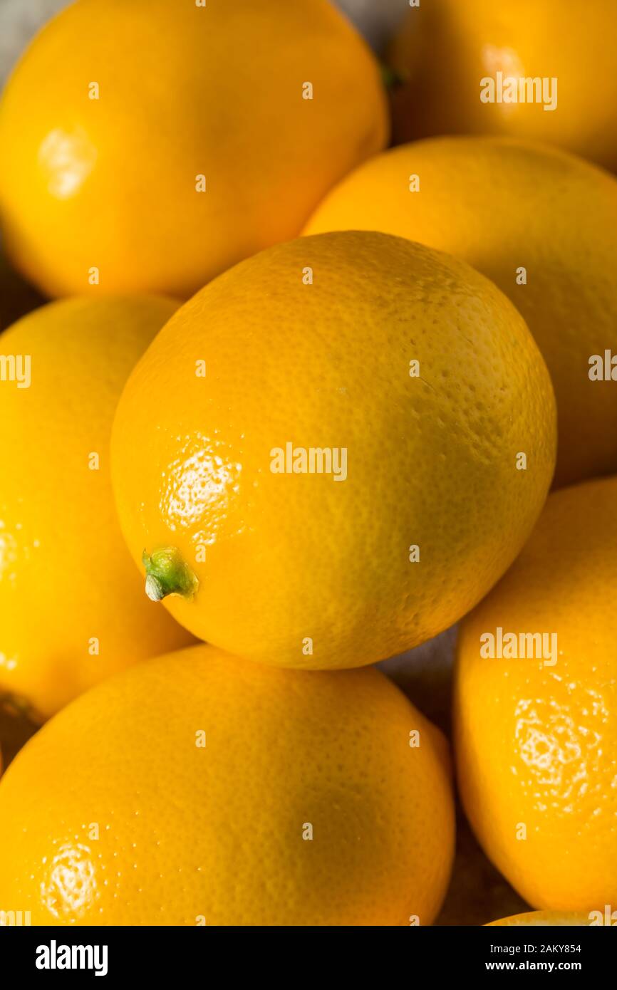 Raw Yellow Organic Meyer Lemons in a Bunch Stock Photo - Alamy
