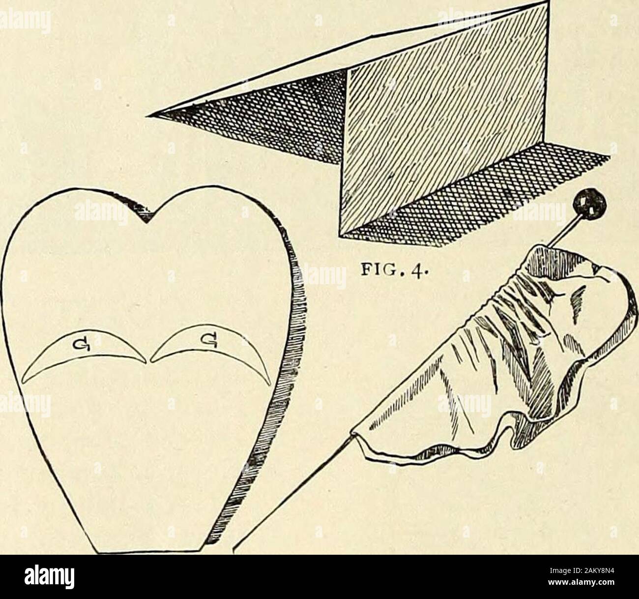Three quarter figure shown hi-res stock photography and images - Alamy