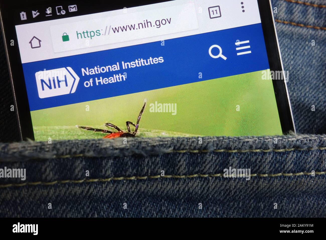National Institutes of Health (NIH) website displayed on smartphone ...