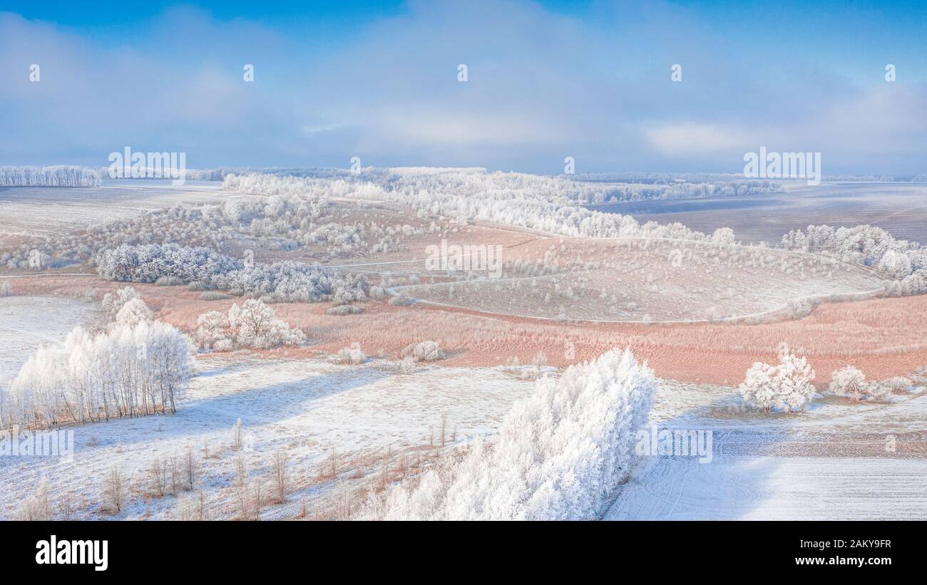 Snowy meadow with forest strips and empty agrarian fields. Winter ...