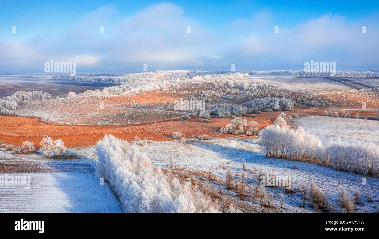 Snowy meadow with forest strips and empty agrarian fields. Winter ...