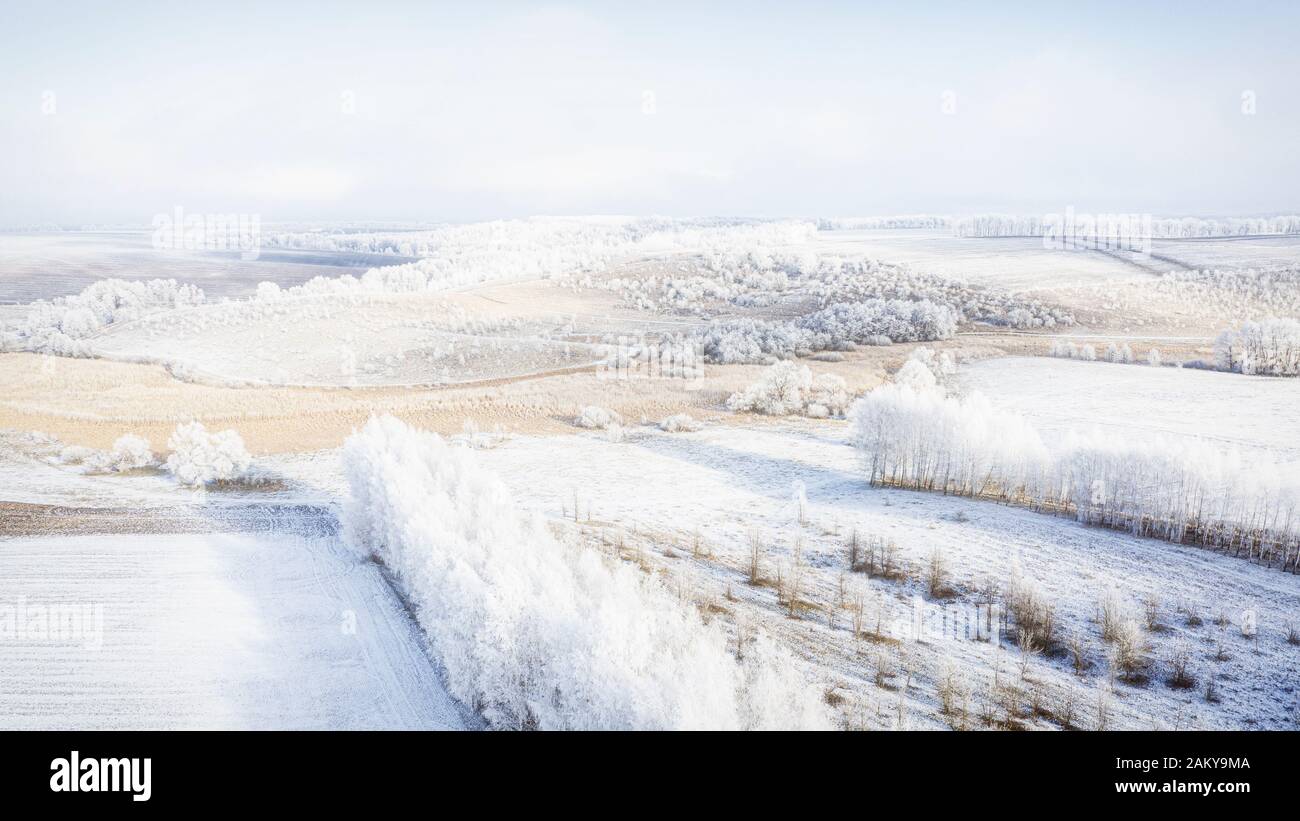 Snowy meadow with forest strips and empty agrarian fields. Winter ...